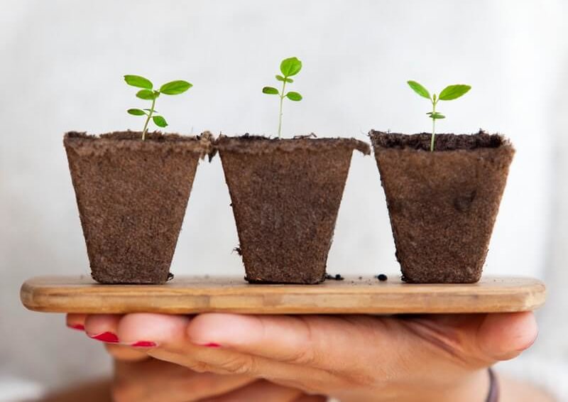 Ecovadis Raccoglie Un Investimento Di Circa 200 Milioni Di Dollari Da ...